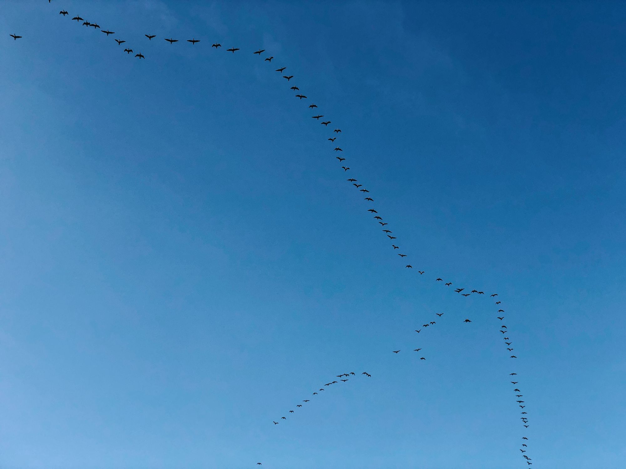 Migrating From MySQL to MariaDB Migrating From MySQL to MariaDB